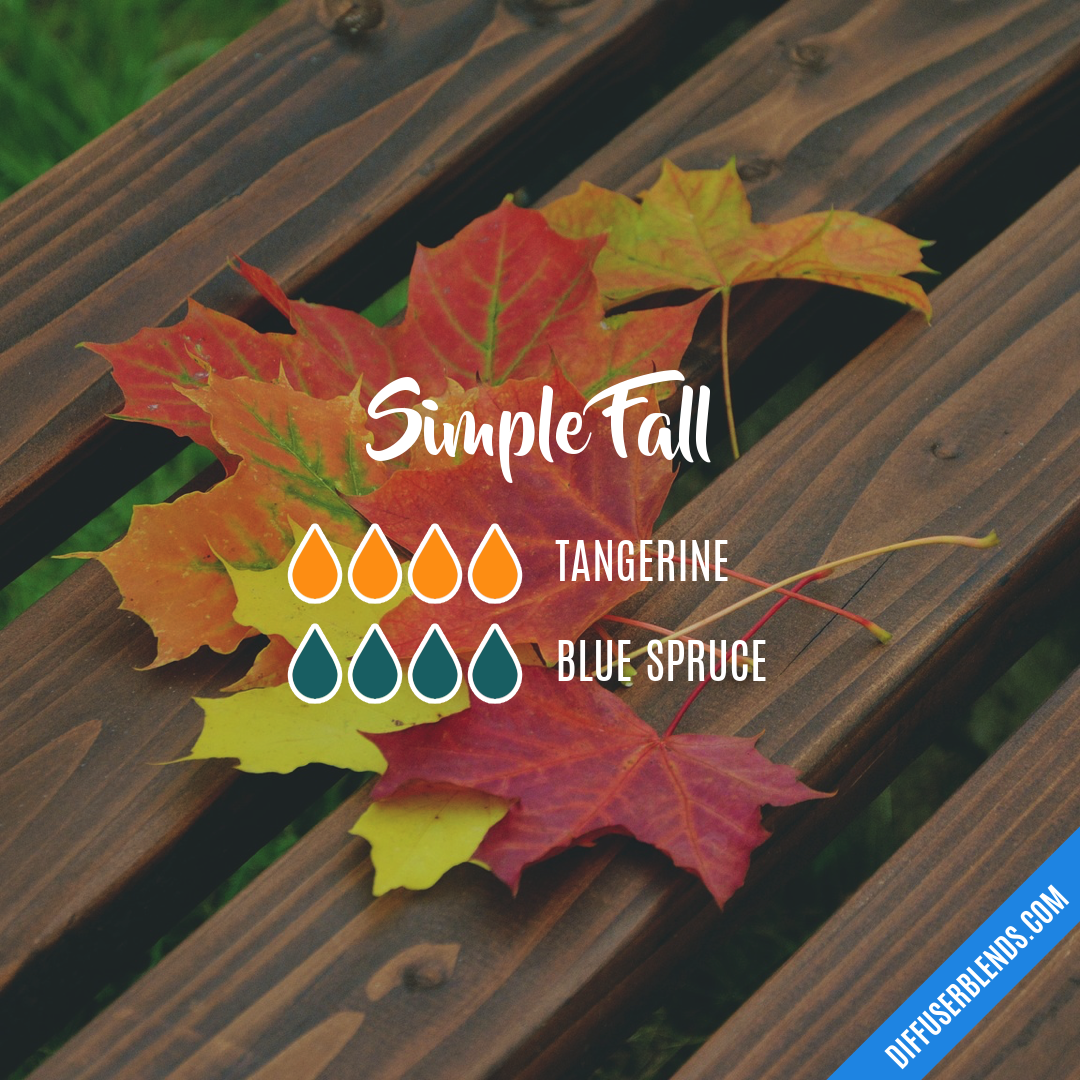Simple Fall | DiffuserBlends.com