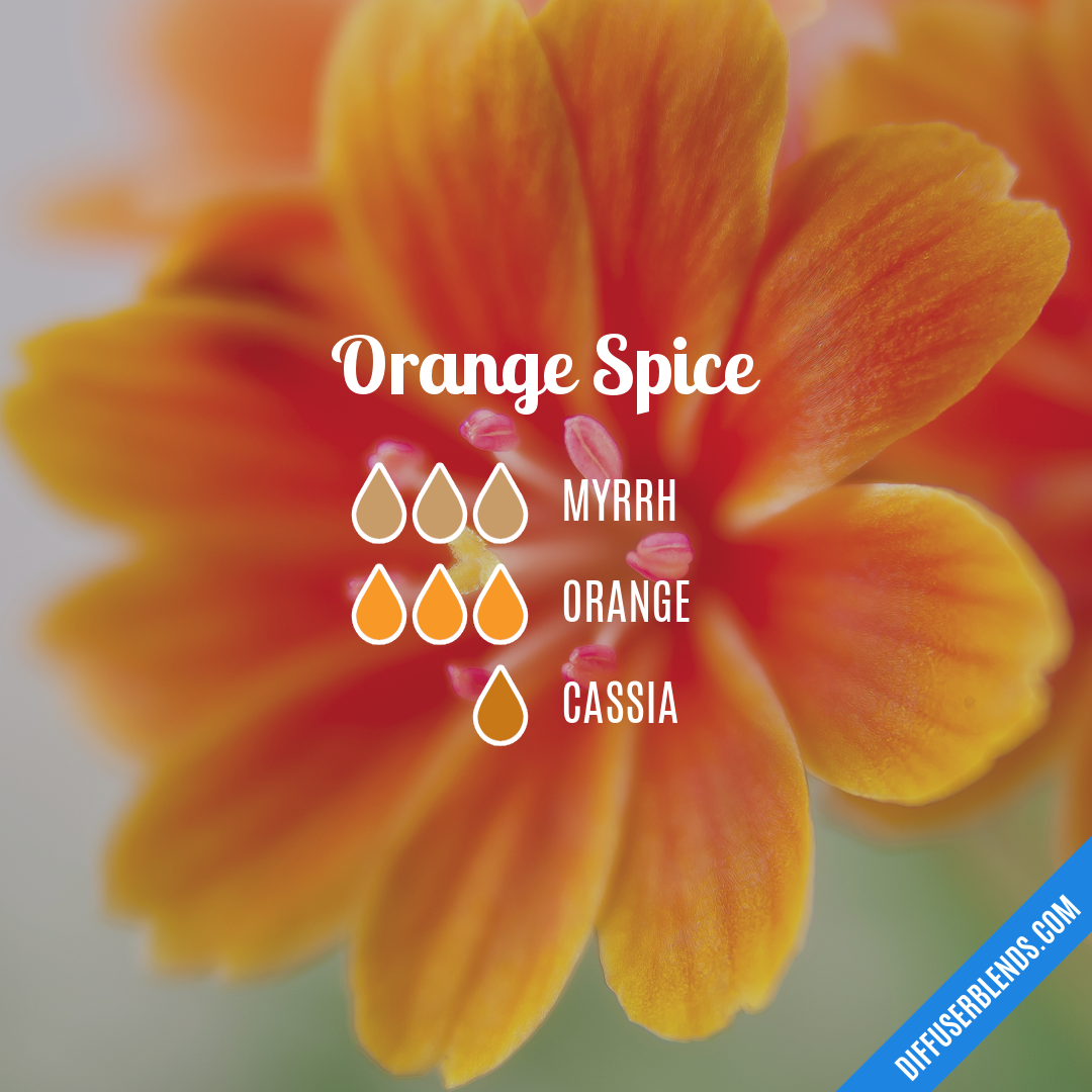 Orange Spice | DiffuserBlends.com
