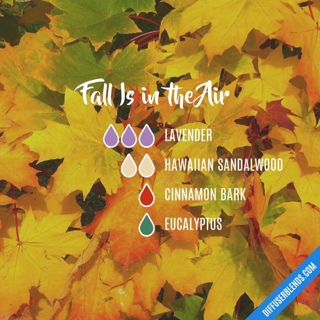 Fall Is in the Air | DiffuserBlends.com