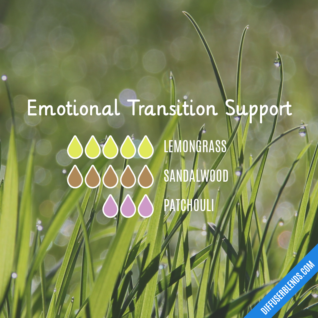 Emotional Transition Support | DiffuserBlends.com
