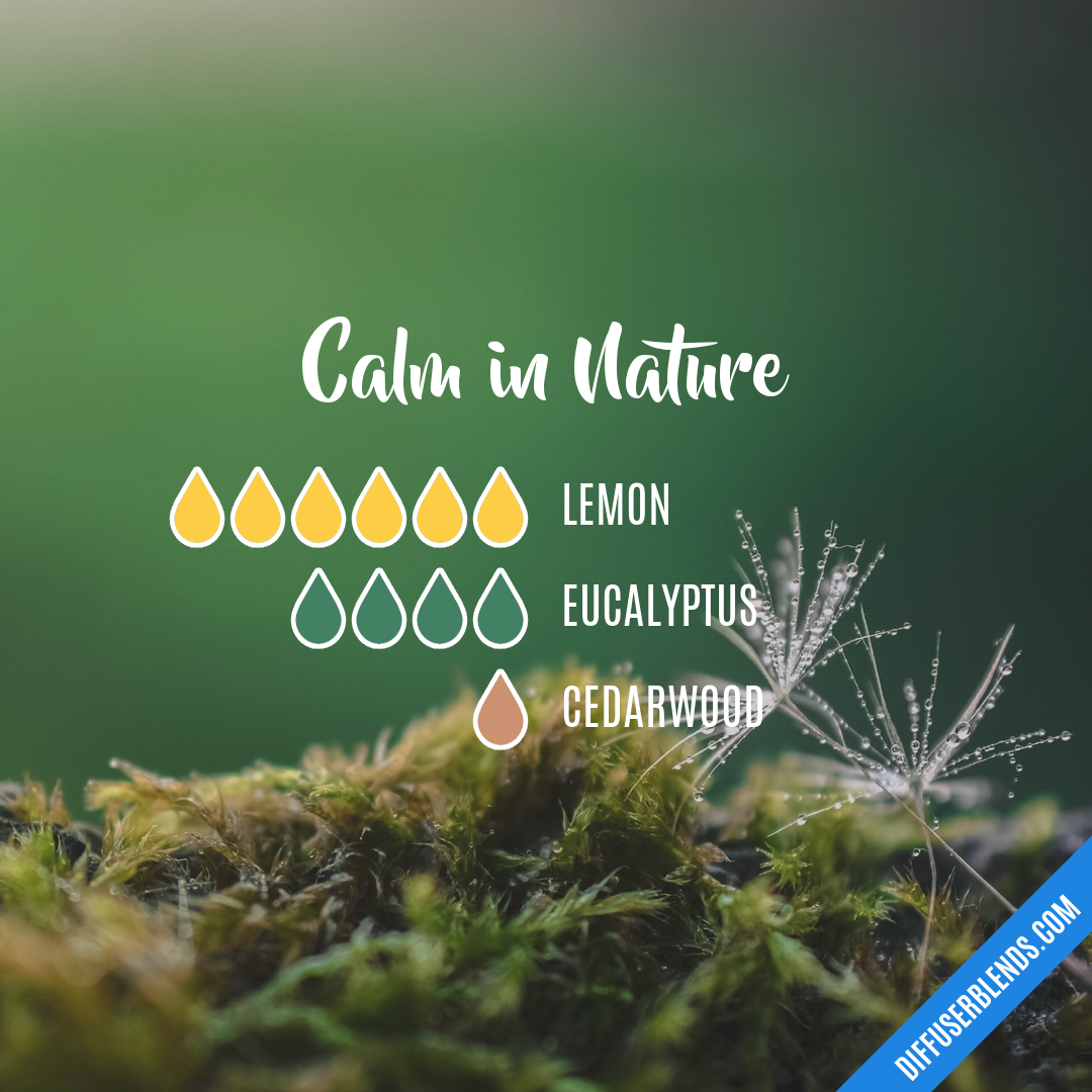 Calm in Nature | DiffuserBlends.com