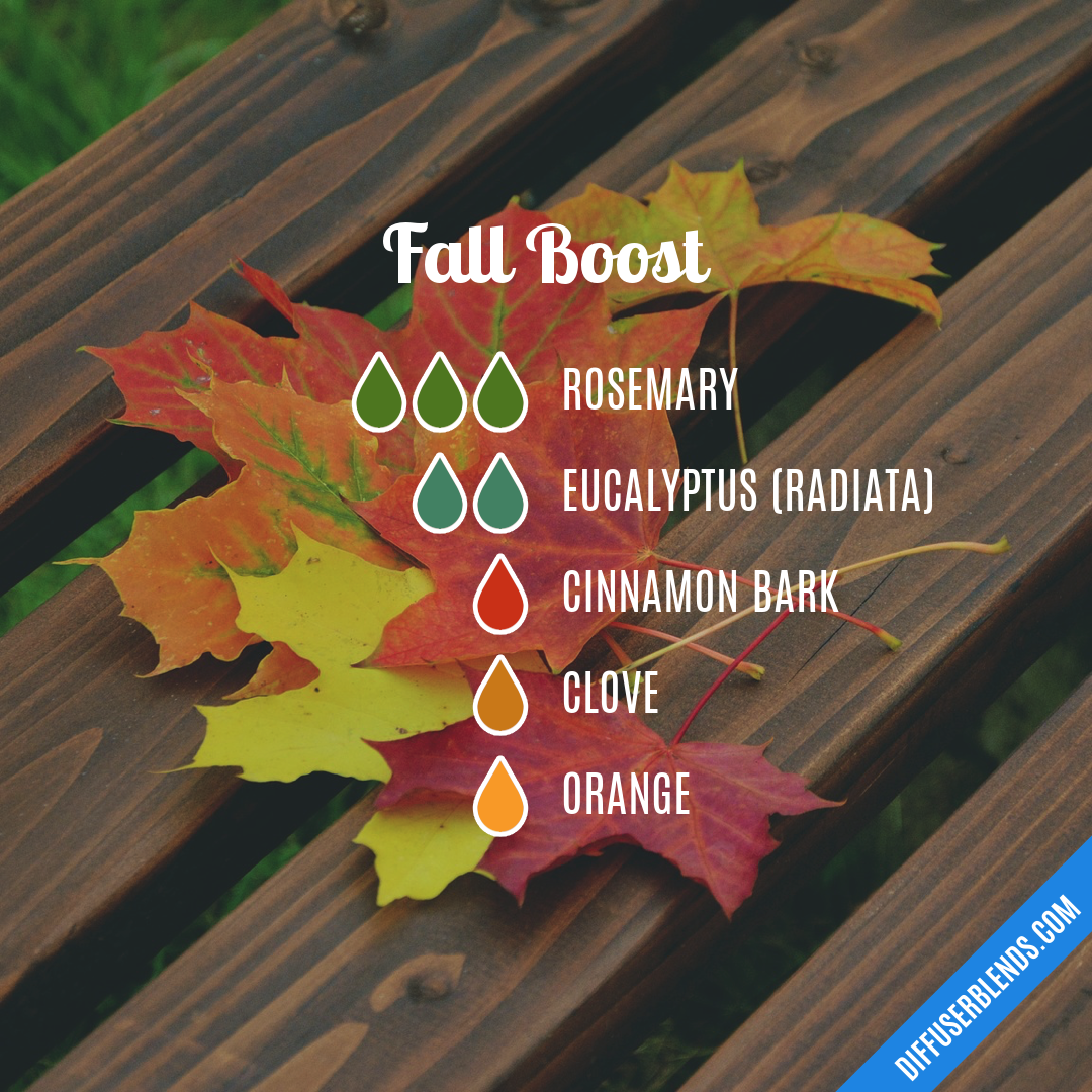 Fall Boost | DiffuserBlends.com