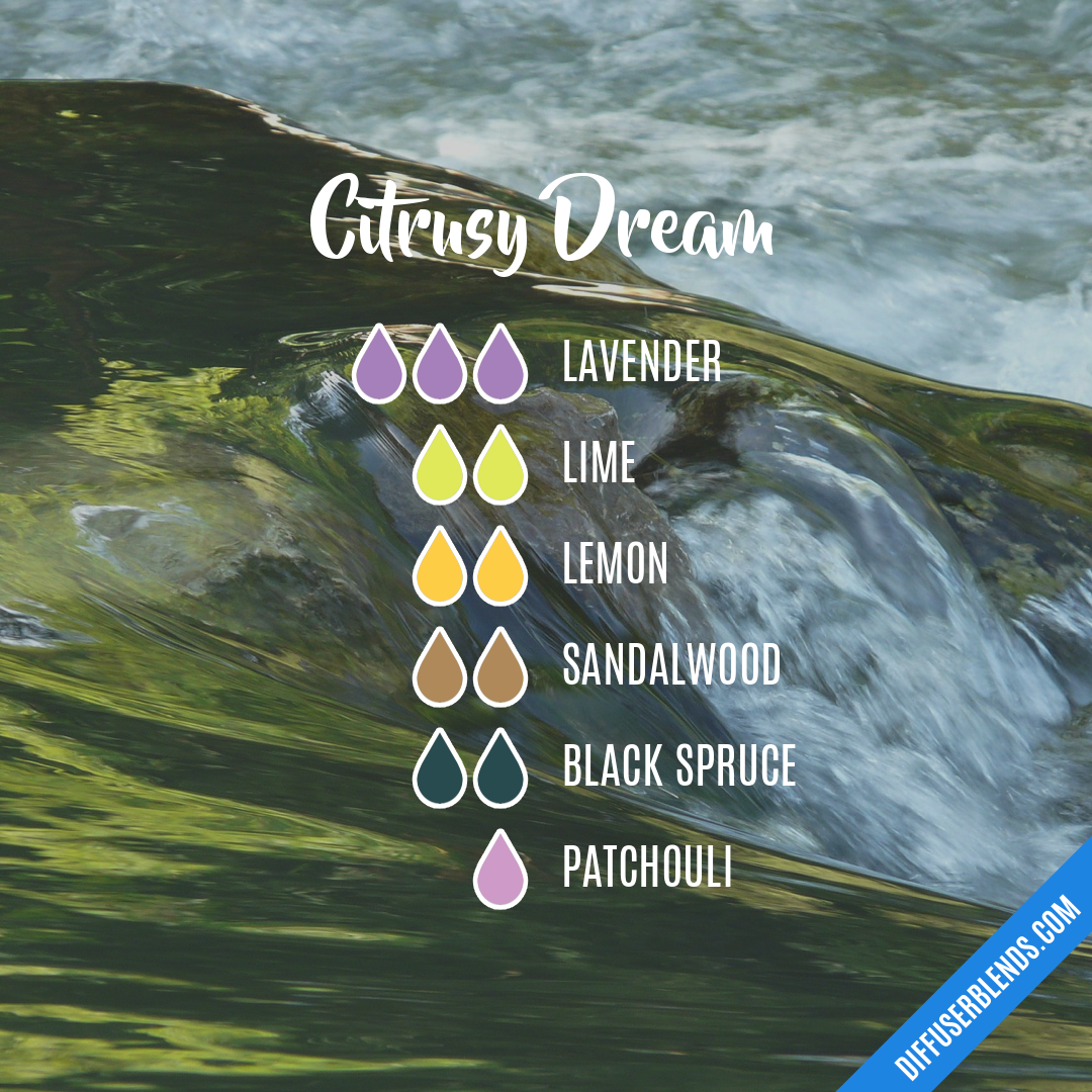 Citrusy Dream | DiffuserBlends.com