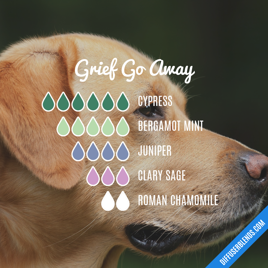 Grief Go Away | DiffuserBlends.com