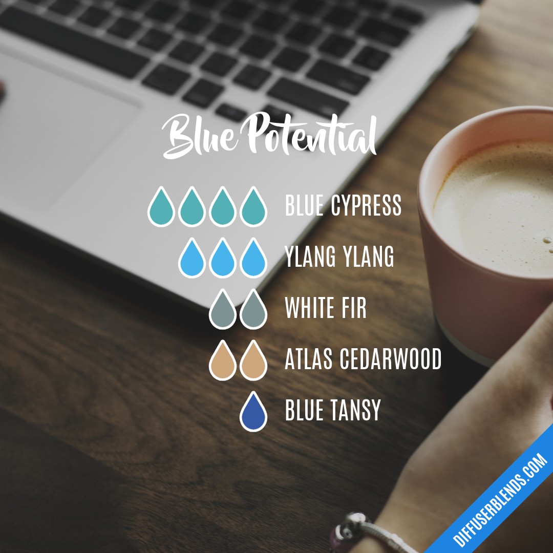 Blue Potential | DiffuserBlends.com