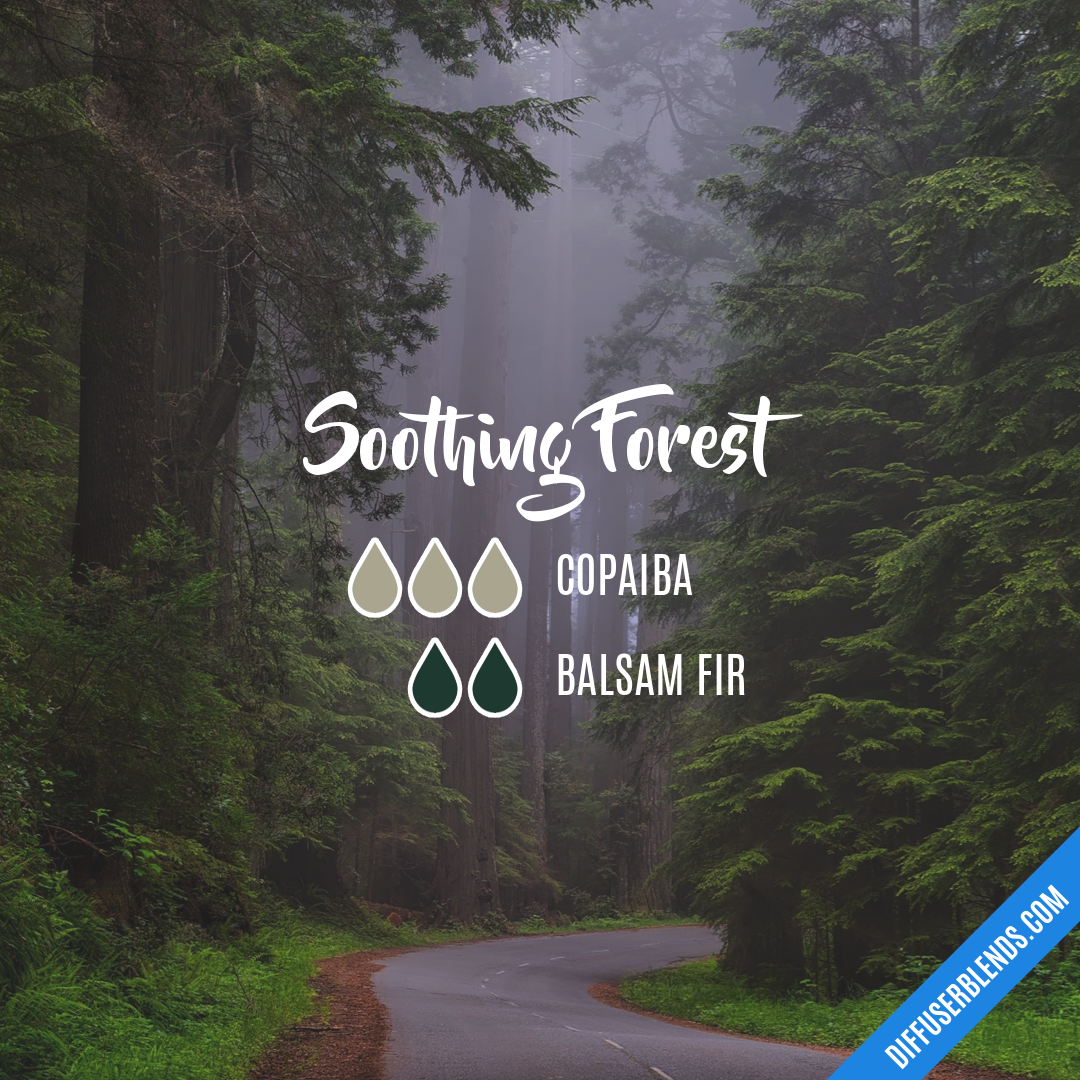 Soothing Forest | DiffuserBlends.com