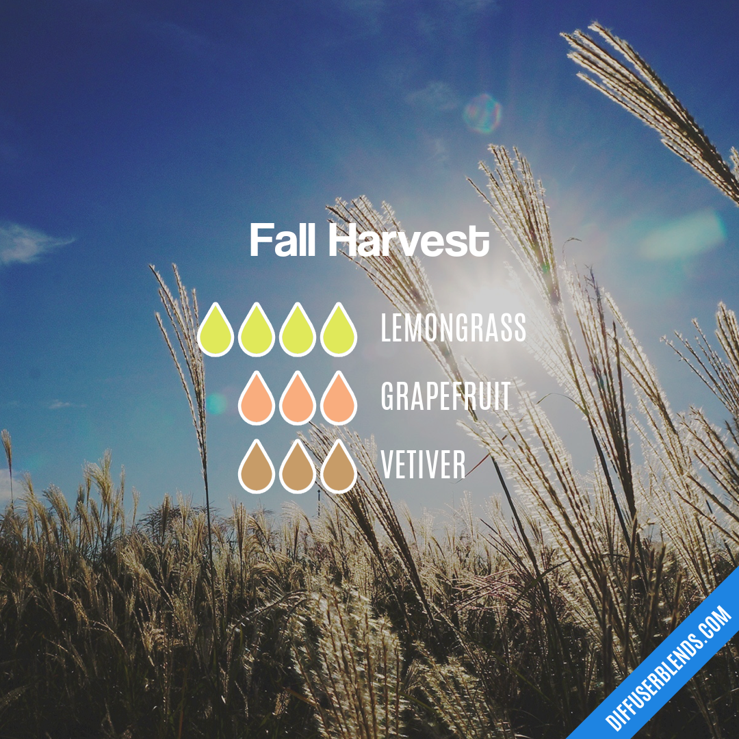 Fall Harvest | DiffuserBlends.com