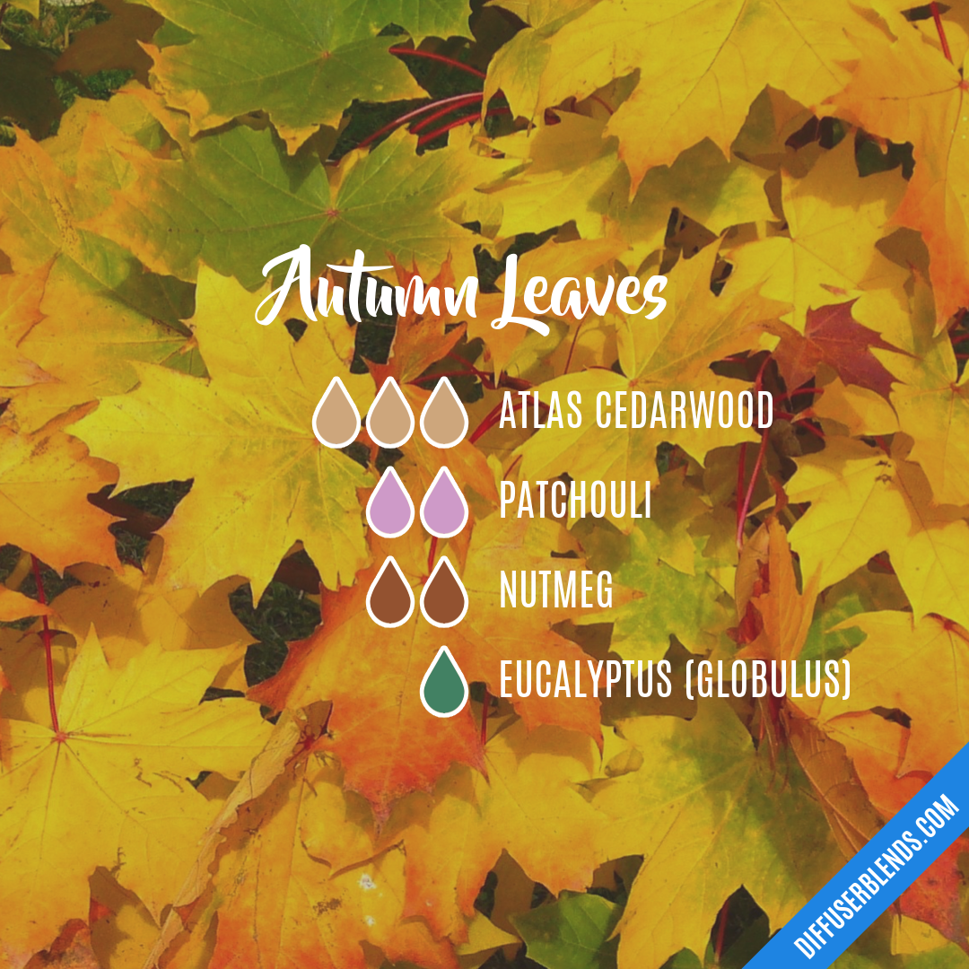 Autumn Leaves | DiffuserBlends.com