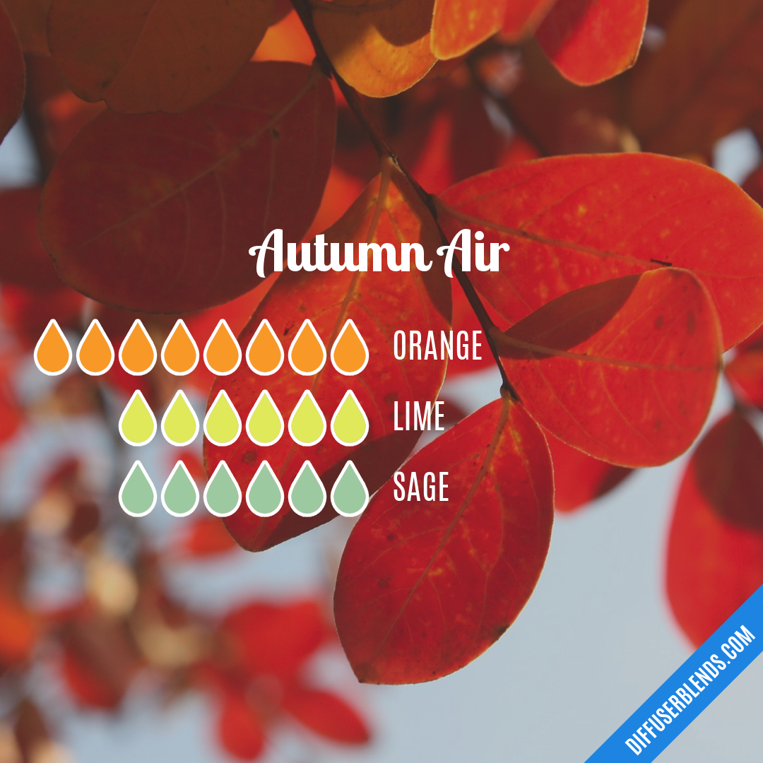 Autumn Air | DiffuserBlends.com