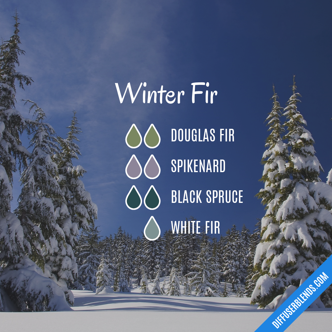 Winter Fir | DiffuserBlends.com