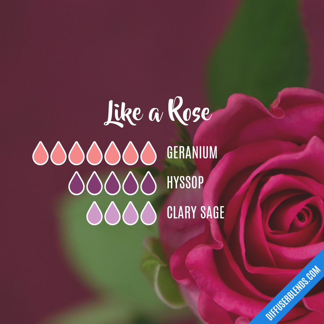 Like a Rose | DiffuserBlends.com