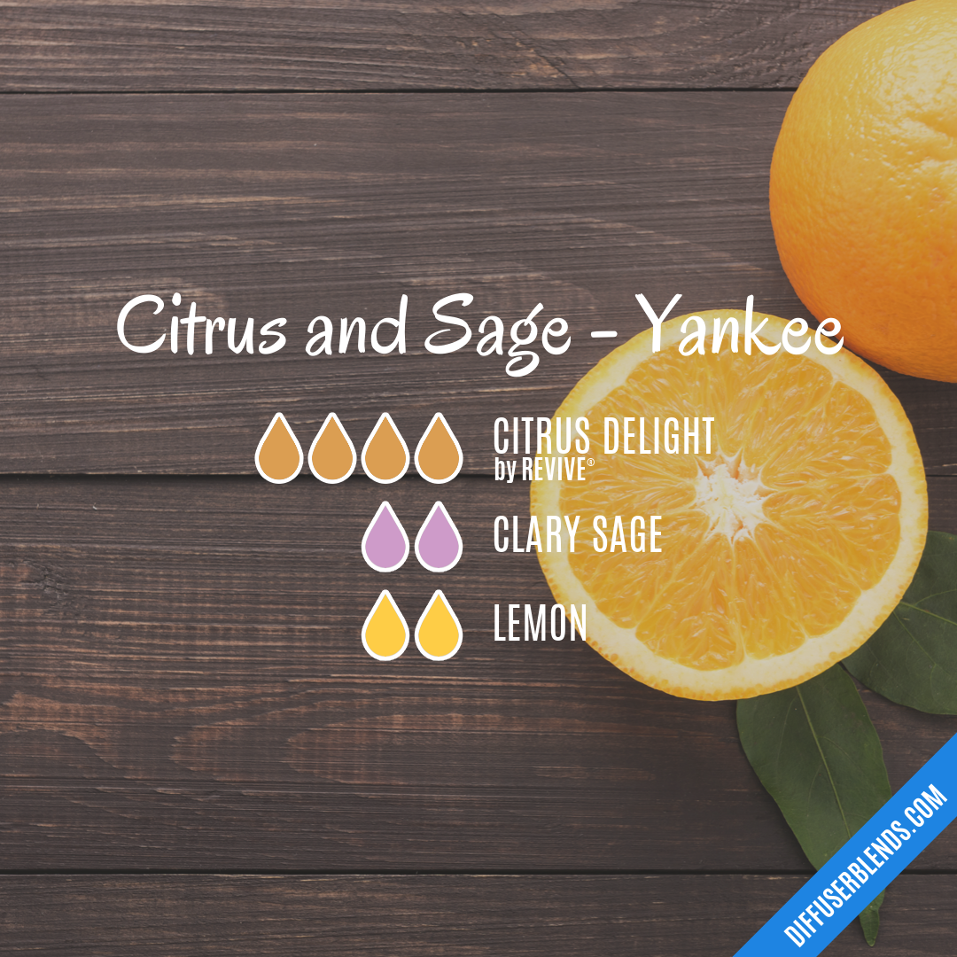 Citrus and Sage - Yankee | DiffuserBlends.com