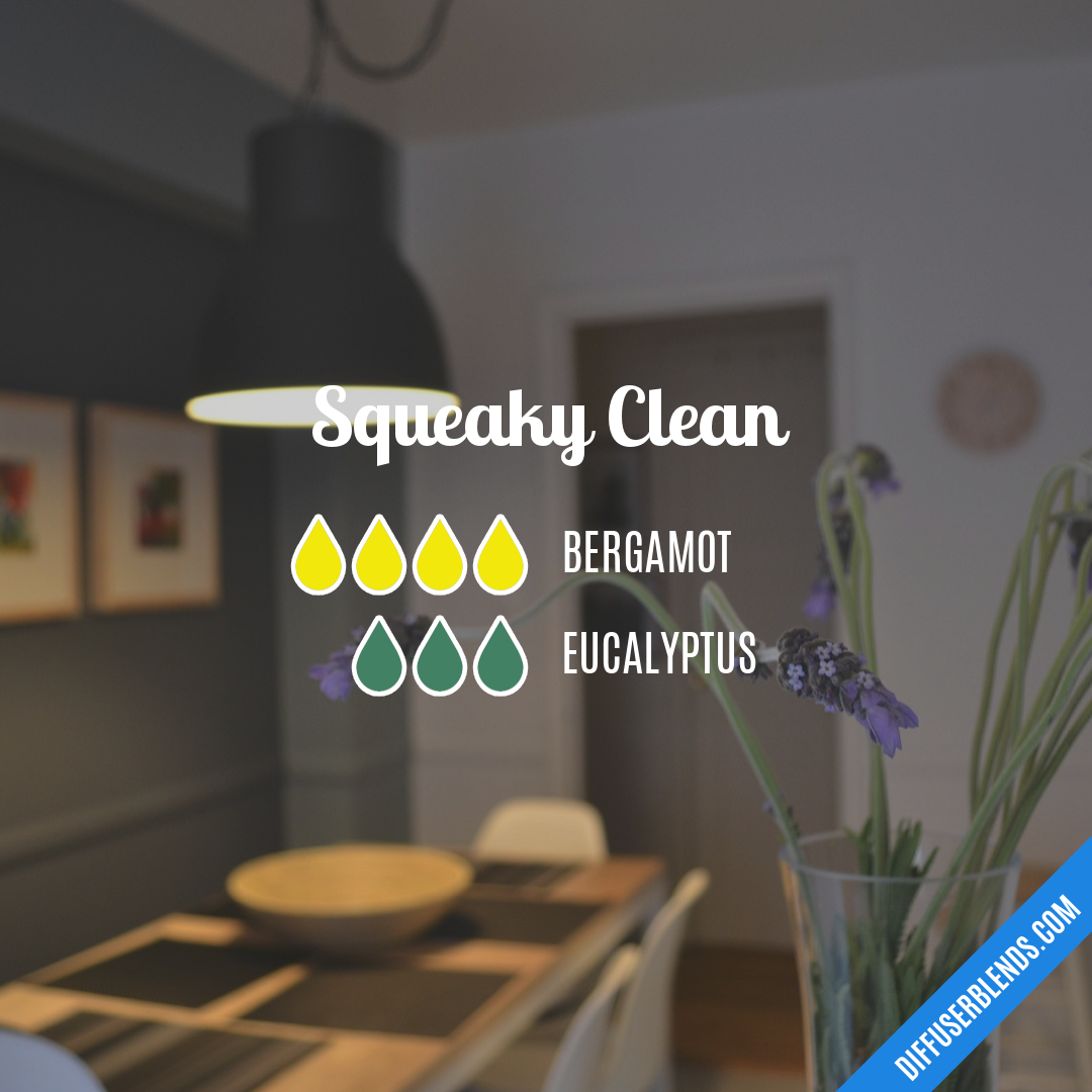 Squeaky Clean | DiffuserBlends.com