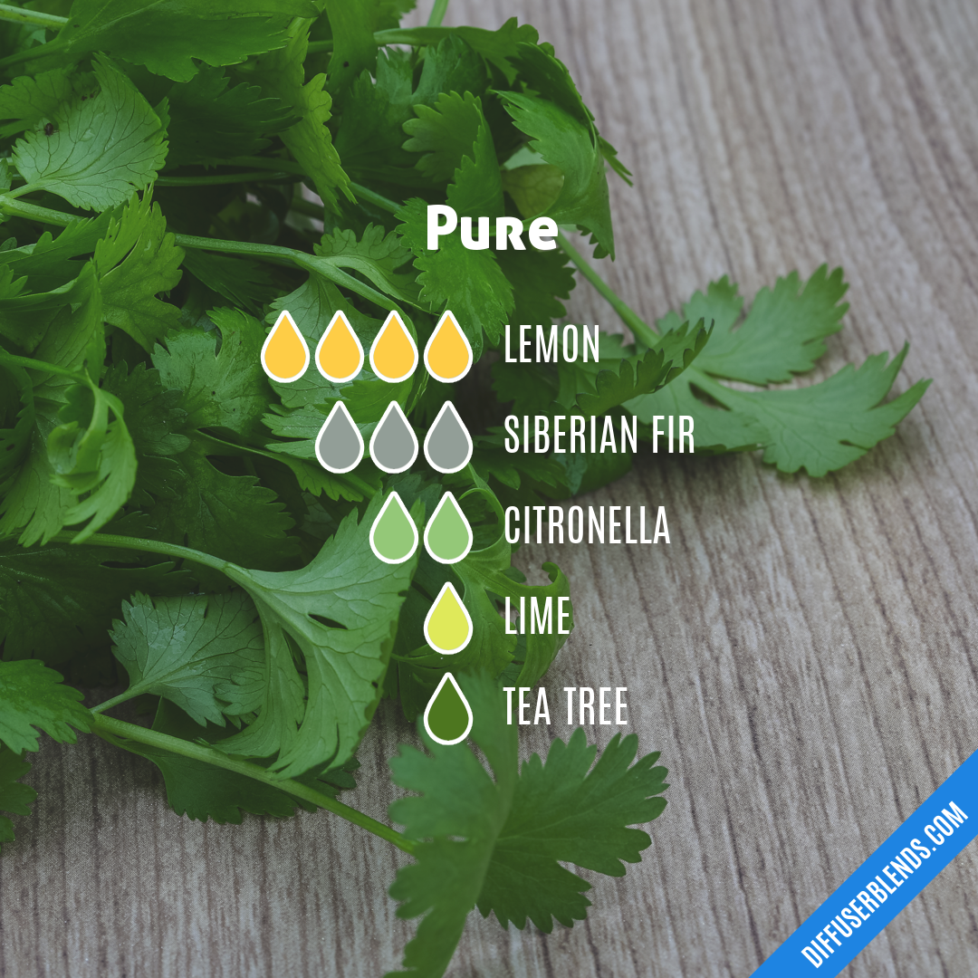 Pure | DiffuserBlends.com