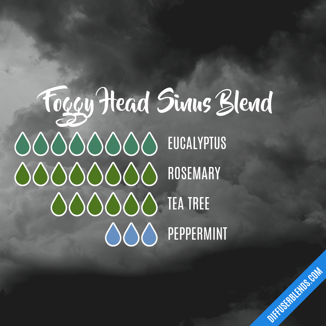 Foggy Head Sinus Blend | DiffuserBlends.com