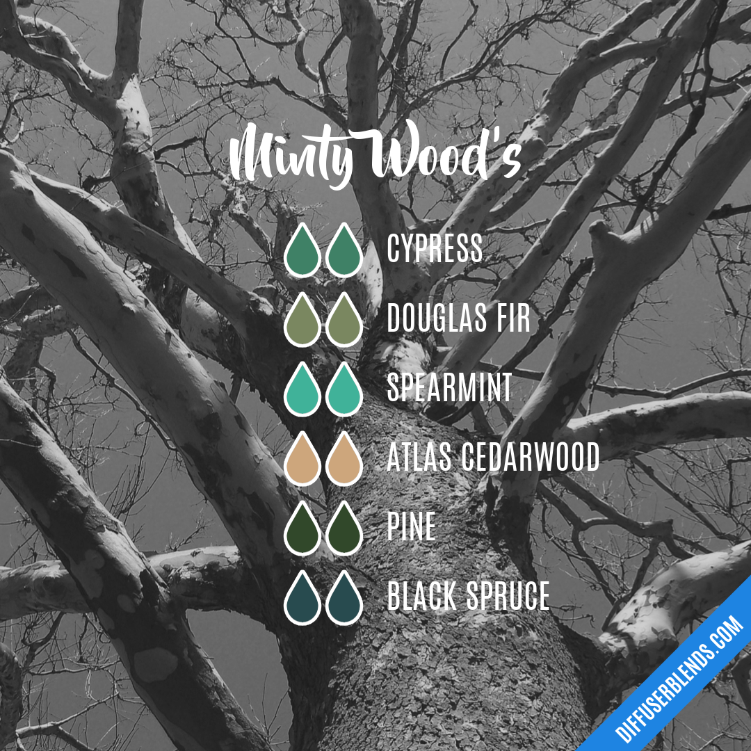 Minty Wood's | DiffuserBlends.com