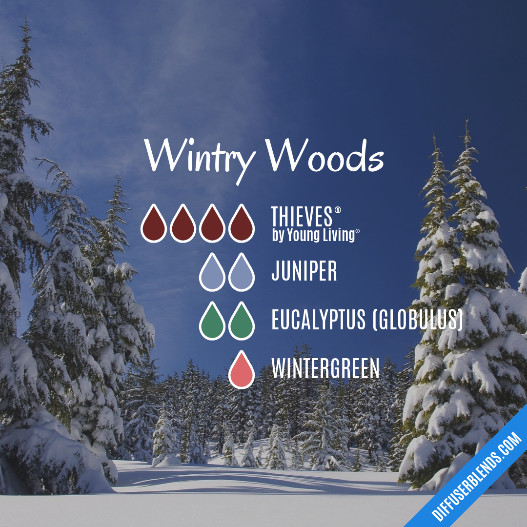 Wintry Woods | DiffuserBlends.com