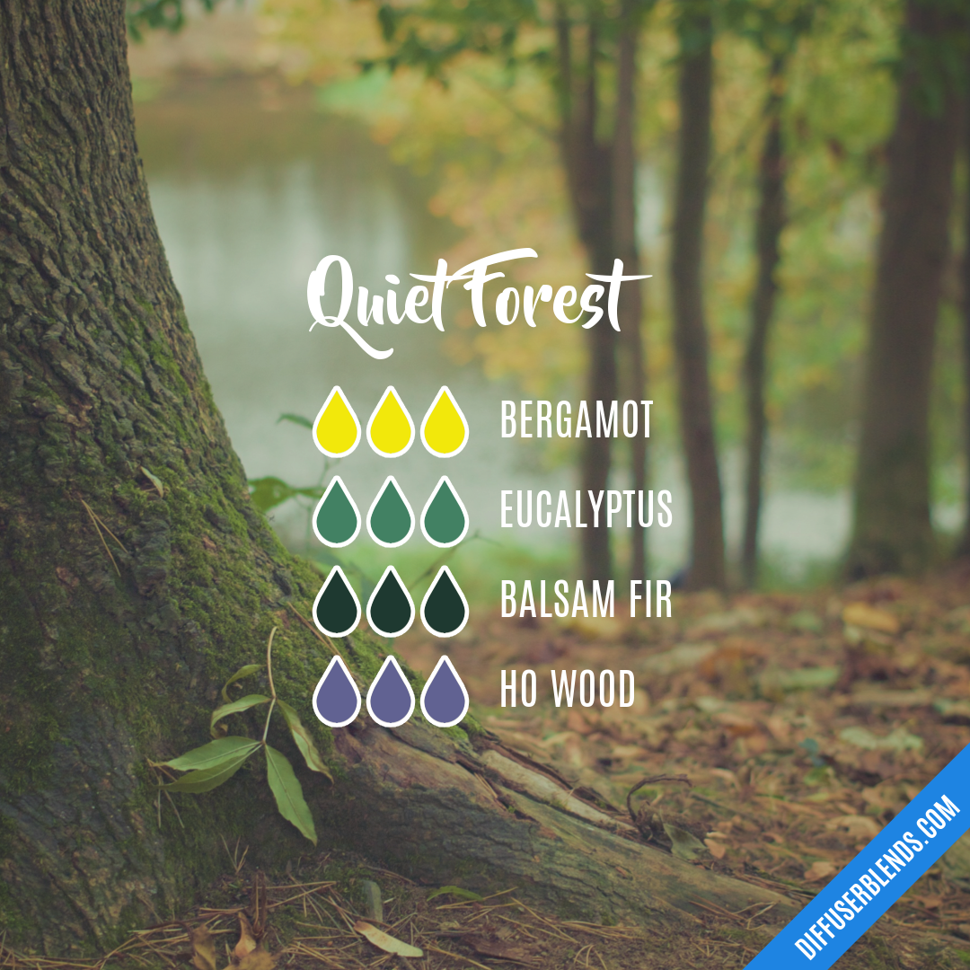 Quiet Forest | DiffuserBlends.com