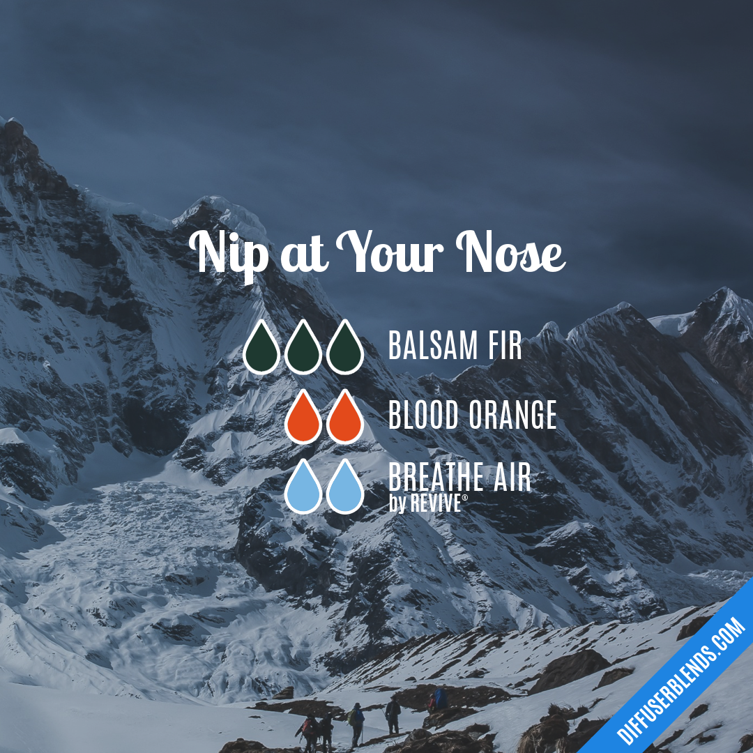 Nip at Your Nose | DiffuserBlends.com