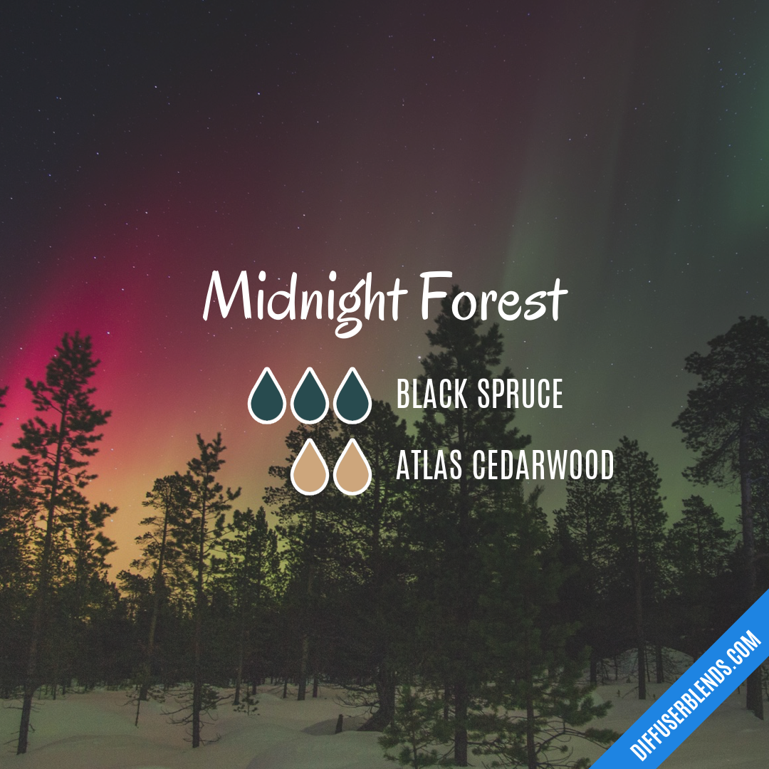 Midnight Forest | DiffuserBlends.com