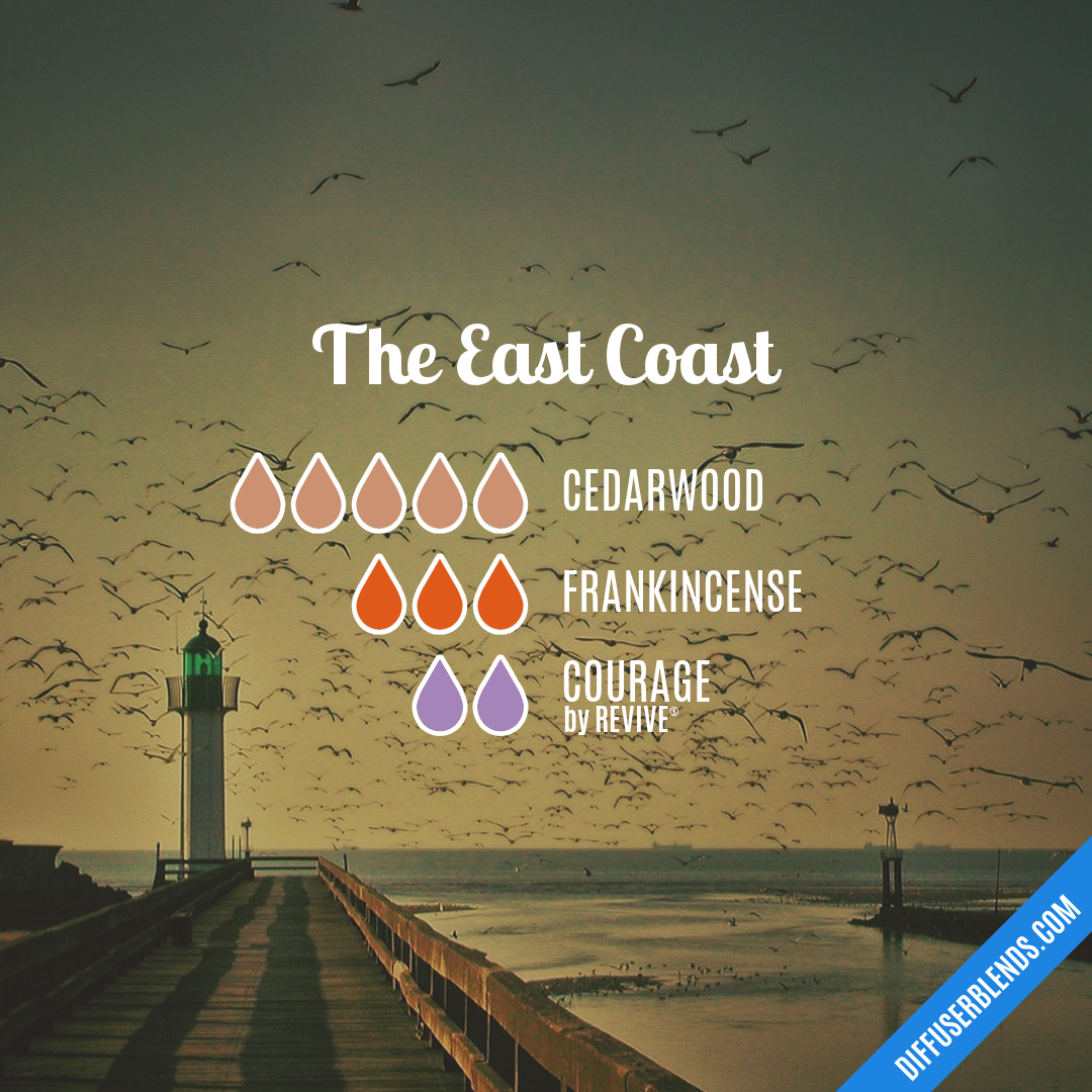 The East Coast | DiffuserBlends.com