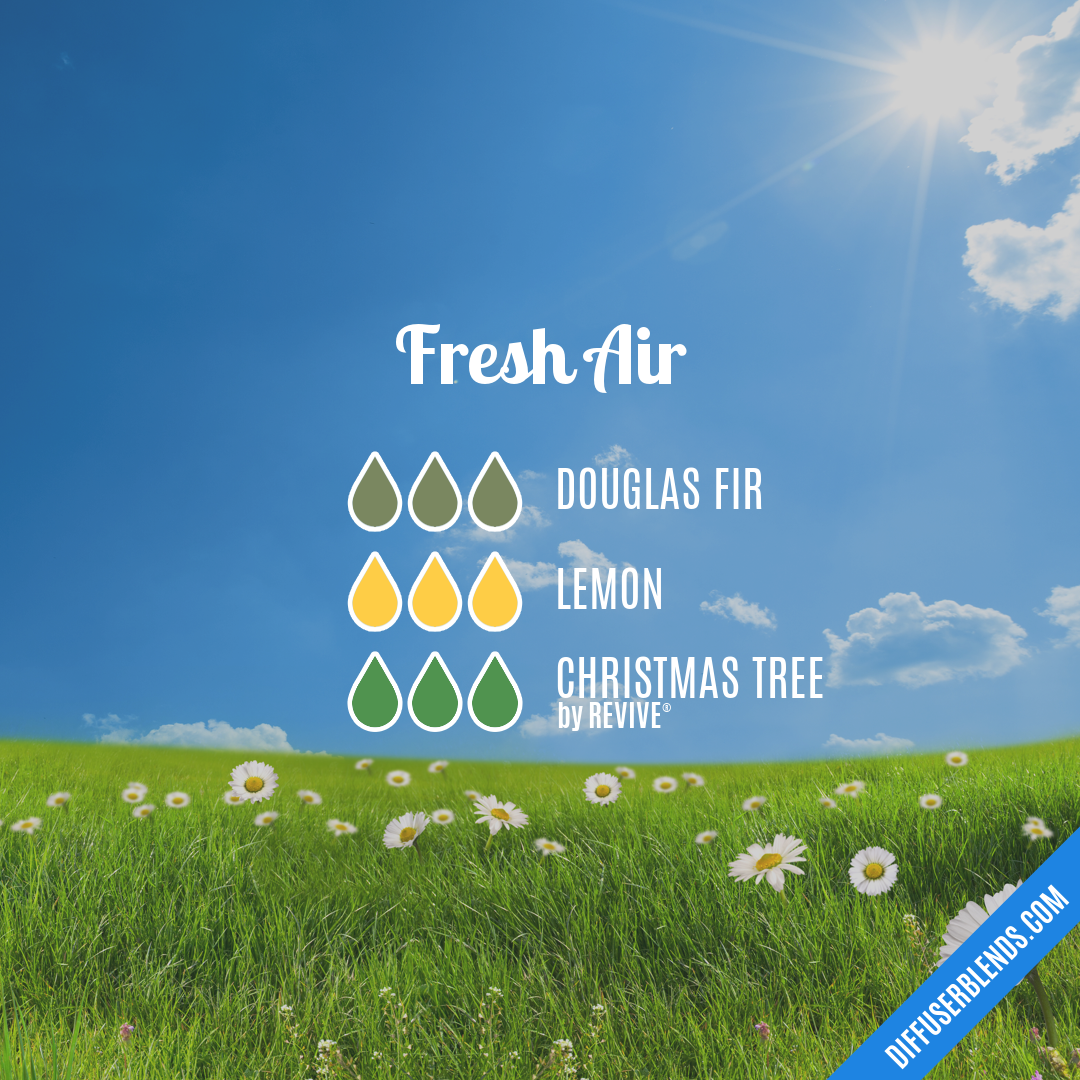 Fresh Air | DiffuserBlends.com