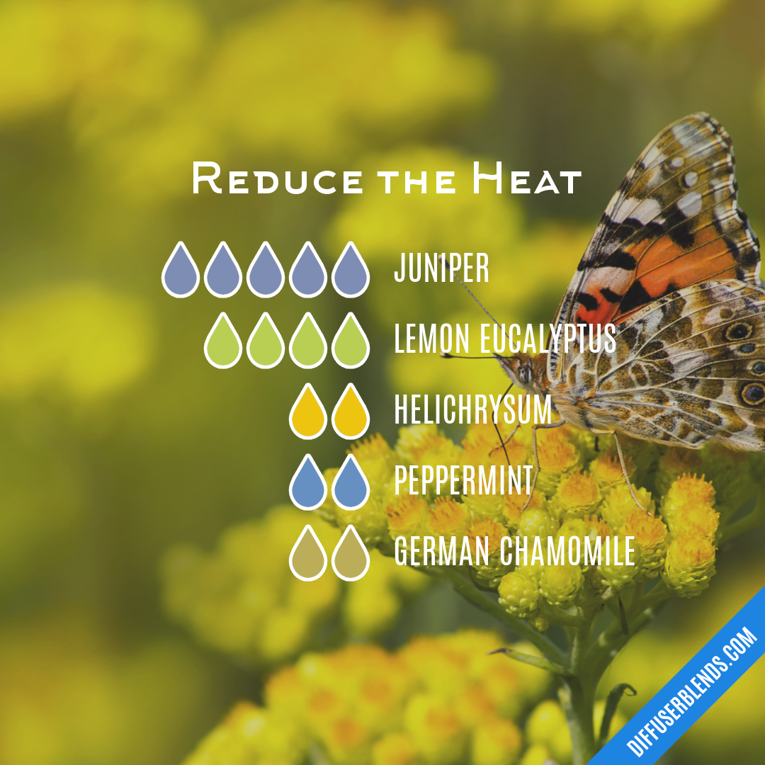 Reduce the Heat | DiffuserBlends.com