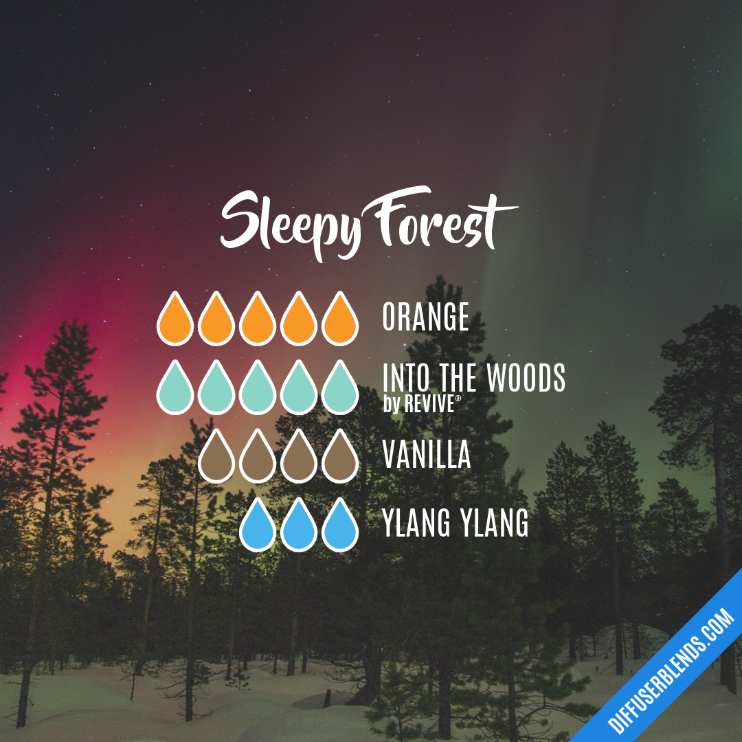 Sleepy Forest | DiffuserBlends.com