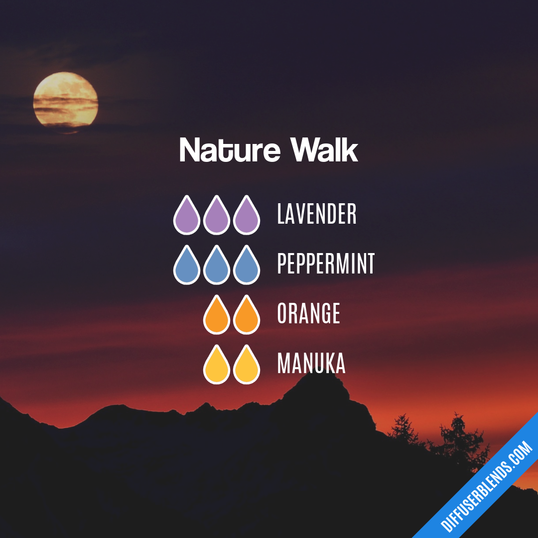 Nature Walk | DiffuserBlends.com
