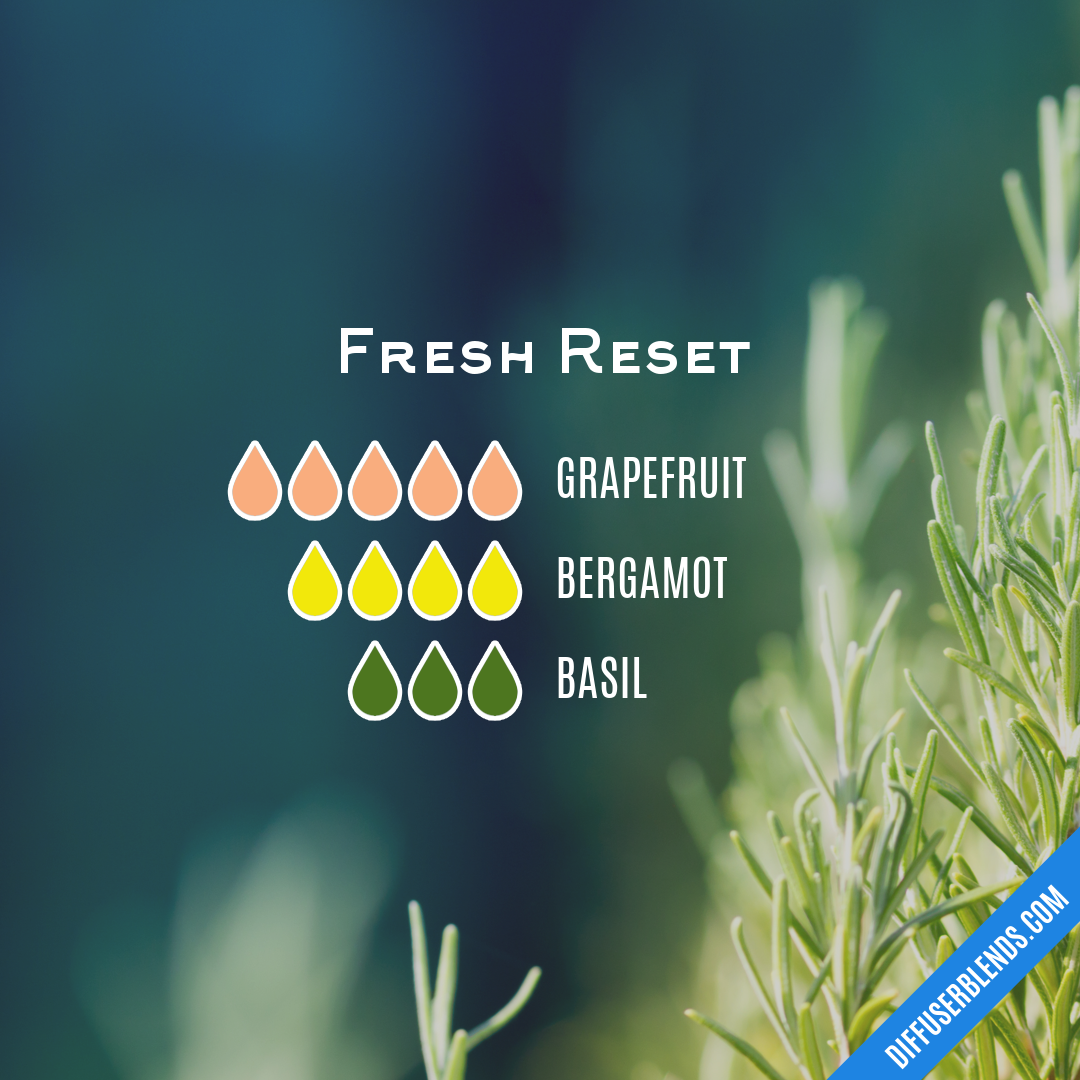 Fresh Reset | DiffuserBlends.com
