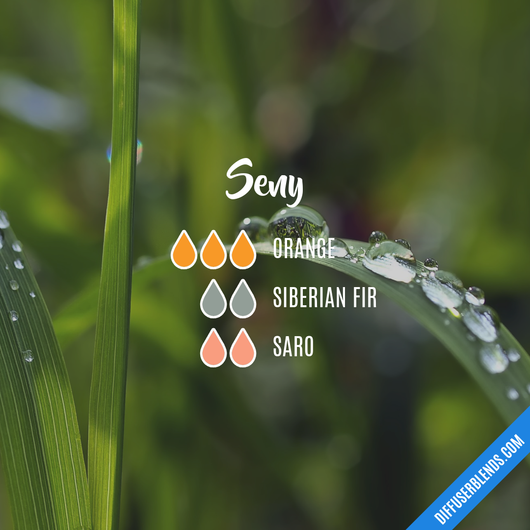 Seny | DiffuserBlends.com