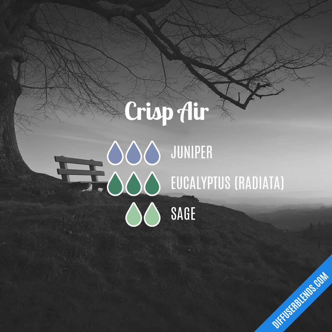 Crisp Air | DiffuserBlends.com