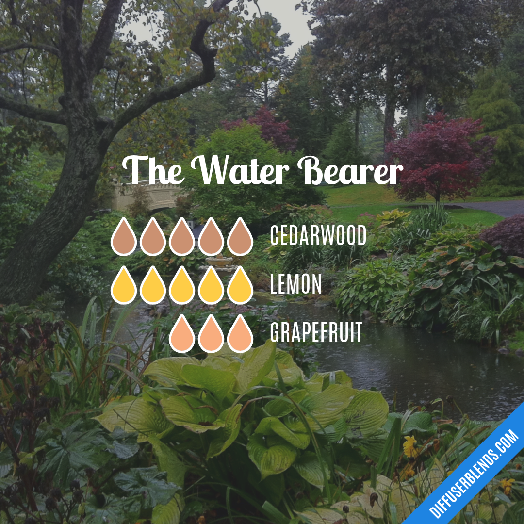 The Water Bearer | DiffuserBlends.com