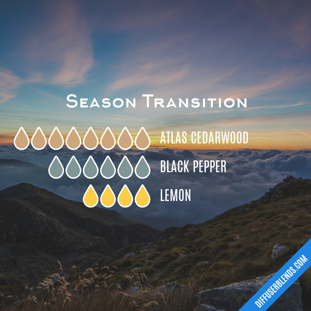 Season Transition | DiffuserBlends.com