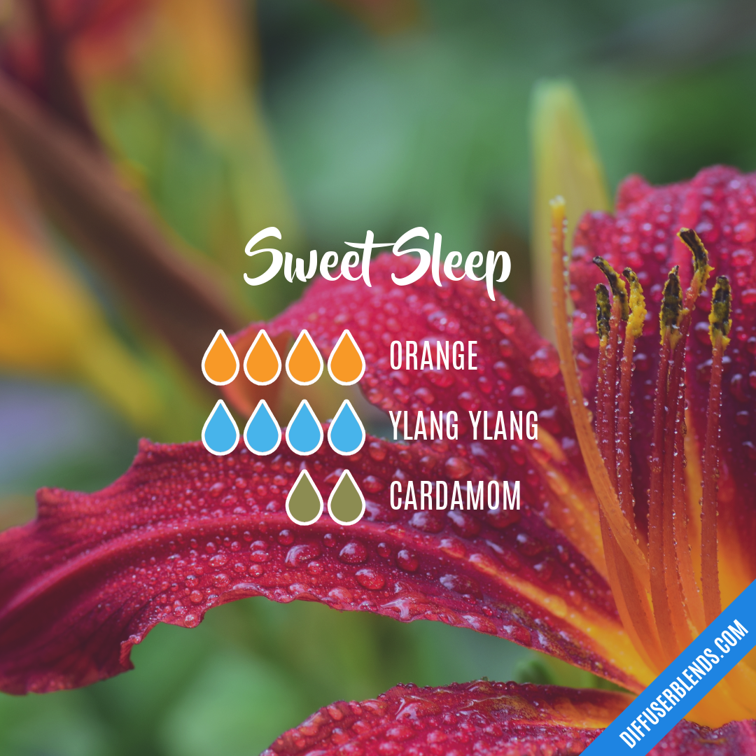 Sweet Sleep | DiffuserBlends.com