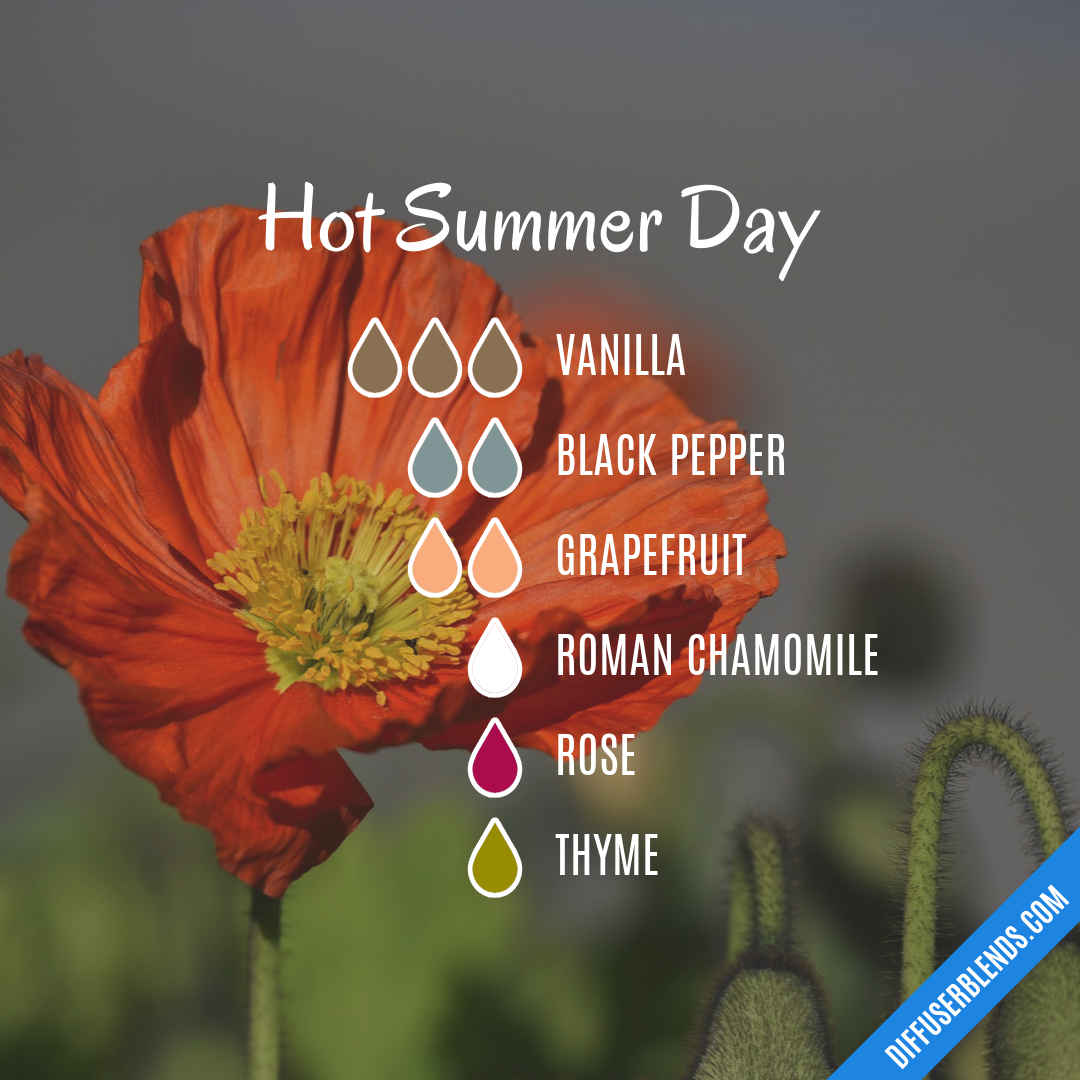 Hot Summer Day | DiffuserBlends.com