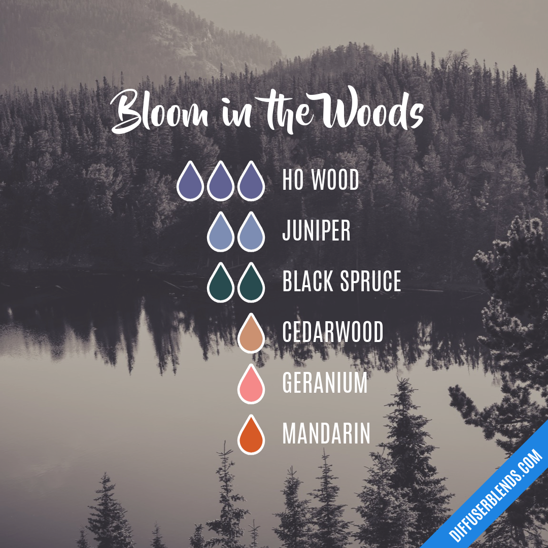 Bloom in the Woods | DiffuserBlends.com