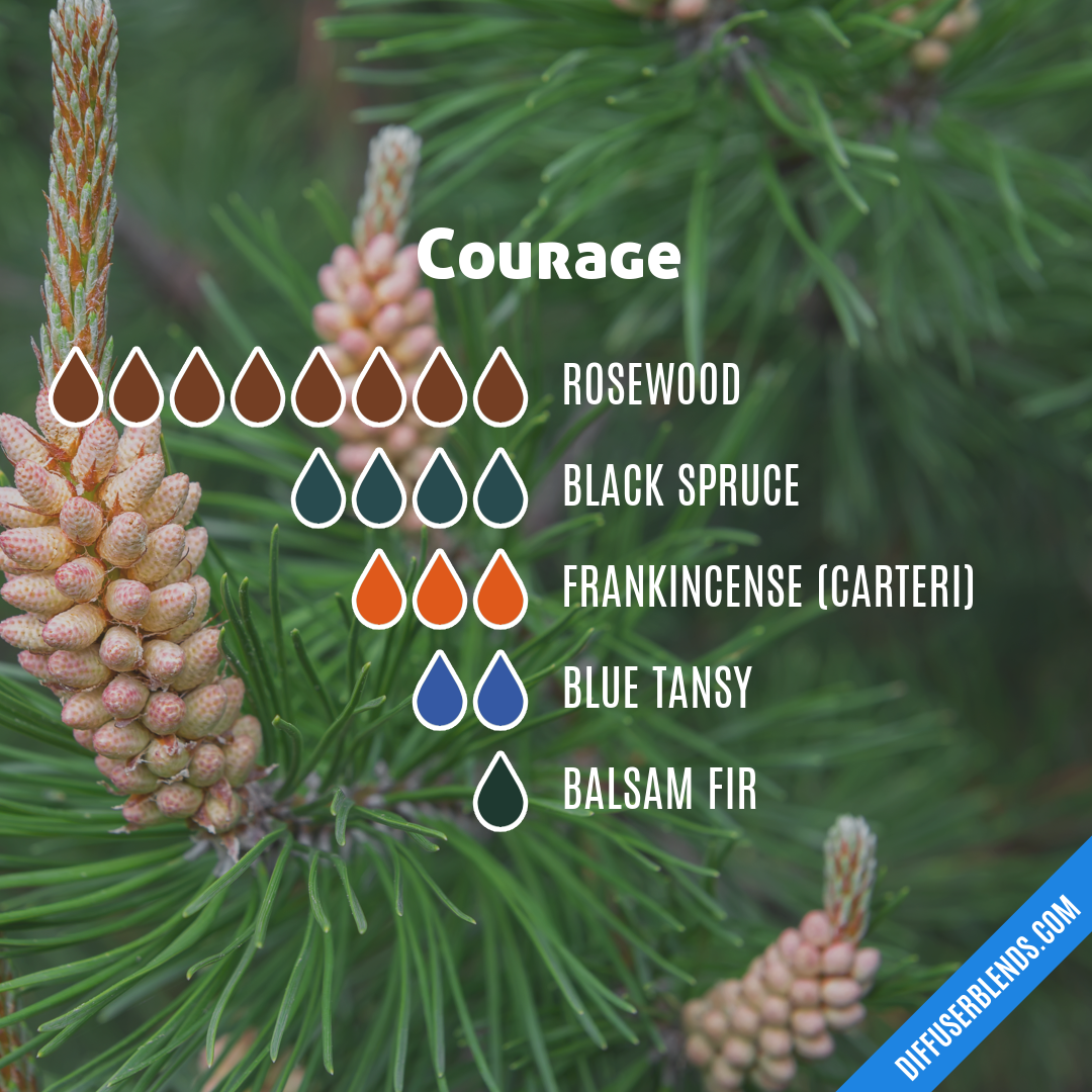 Courage | DiffuserBlends.com