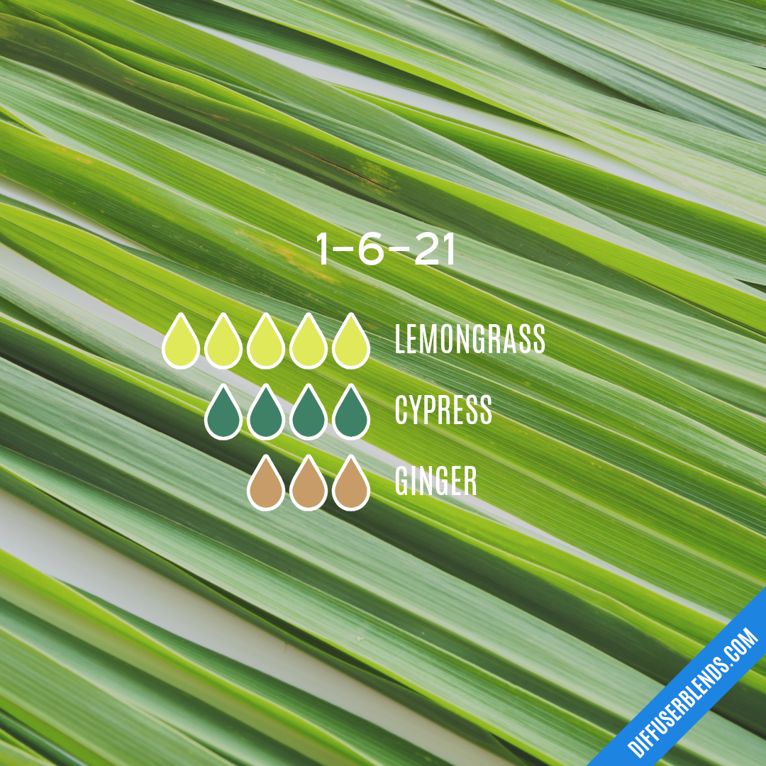 1-6-21 | DiffuserBlends.com