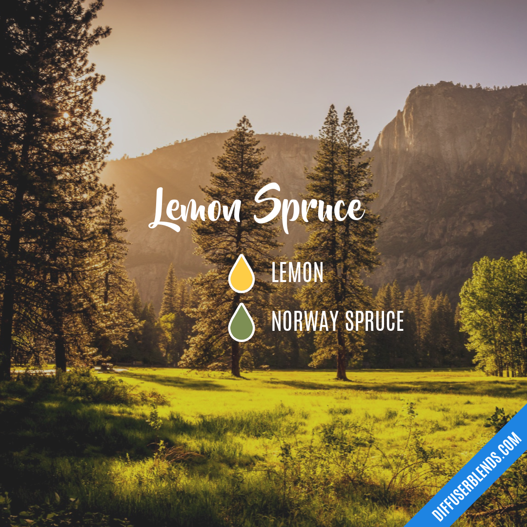 Lemon Spruce | DiffuserBlends.com