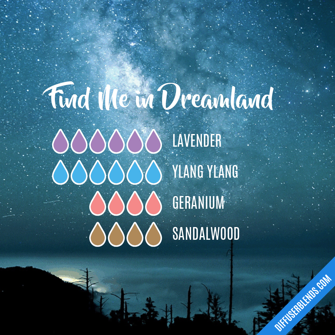 Find Me in Dreamland | DiffuserBlends.com