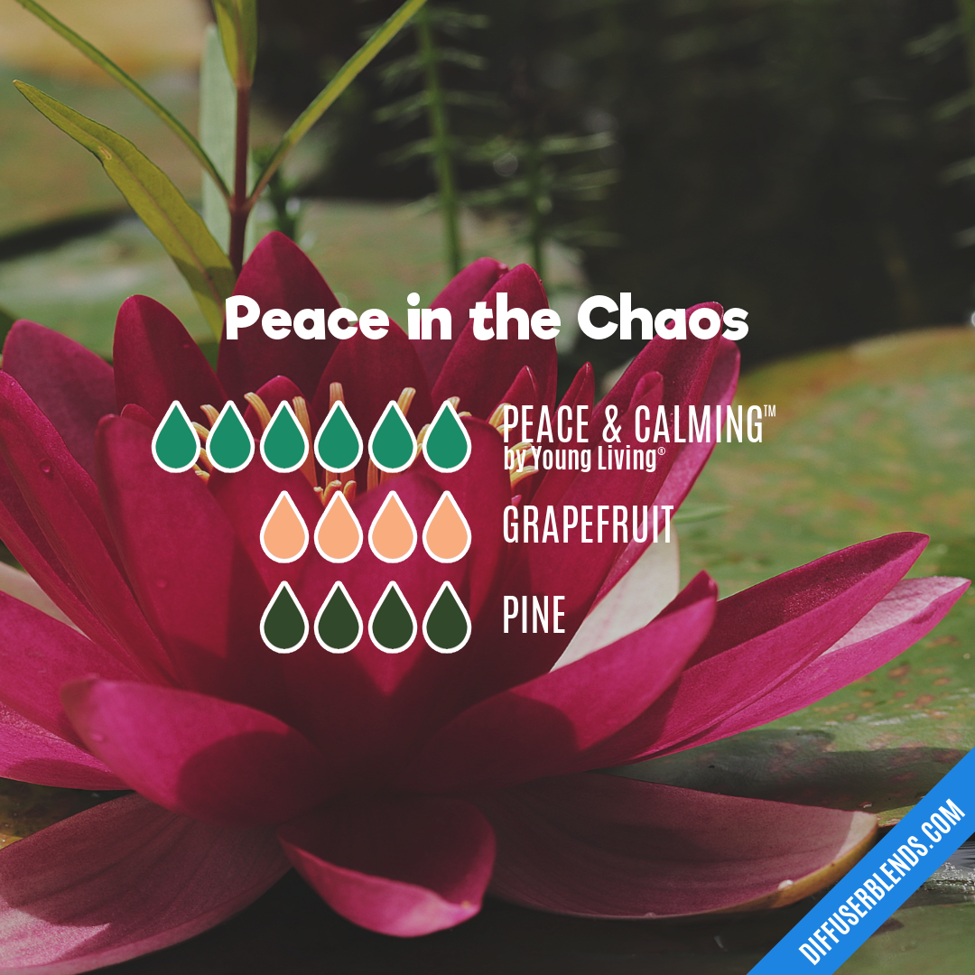 Peace in the Chaos | DiffuserBlends.com