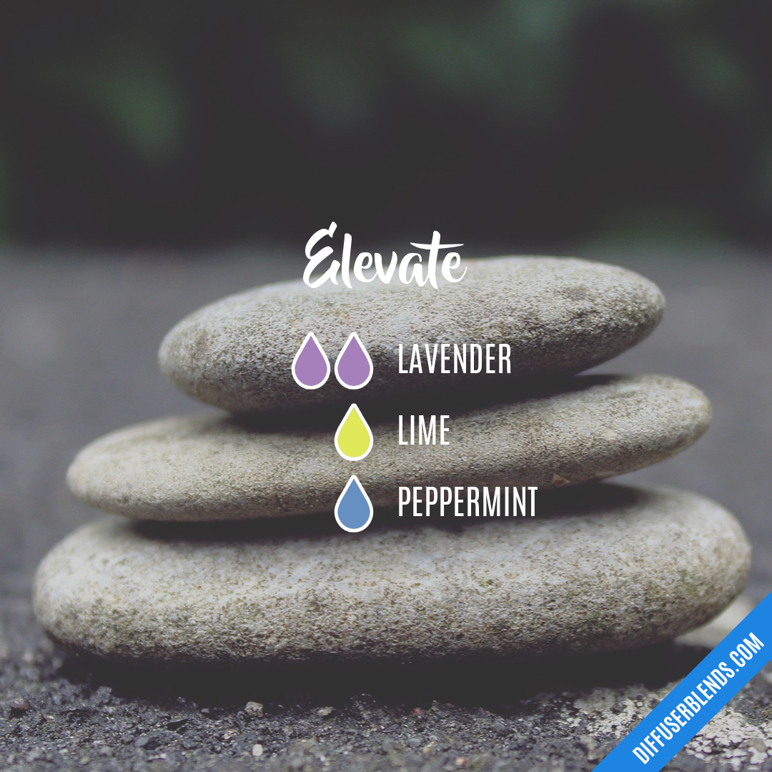 Elevate | DiffuserBlends.com