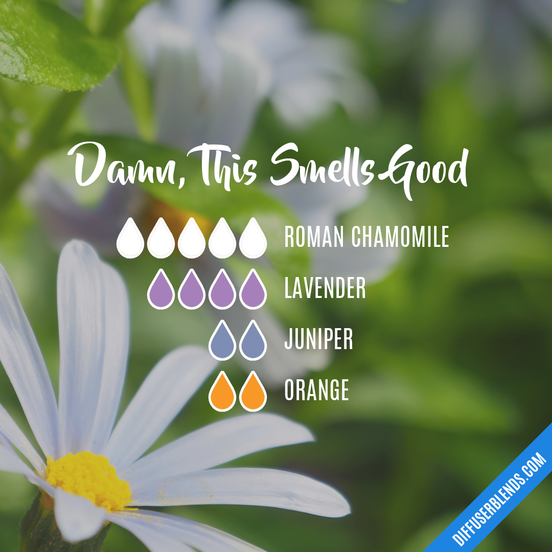 Damn, This Smells Good | DiffuserBlends.com