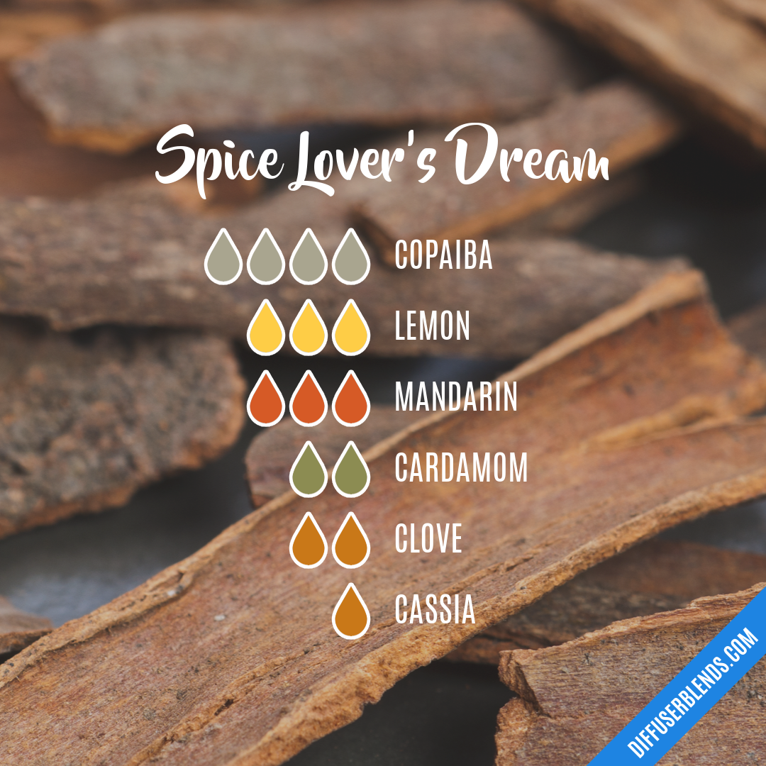 Spice Lover's Dream | DiffuserBlends.com