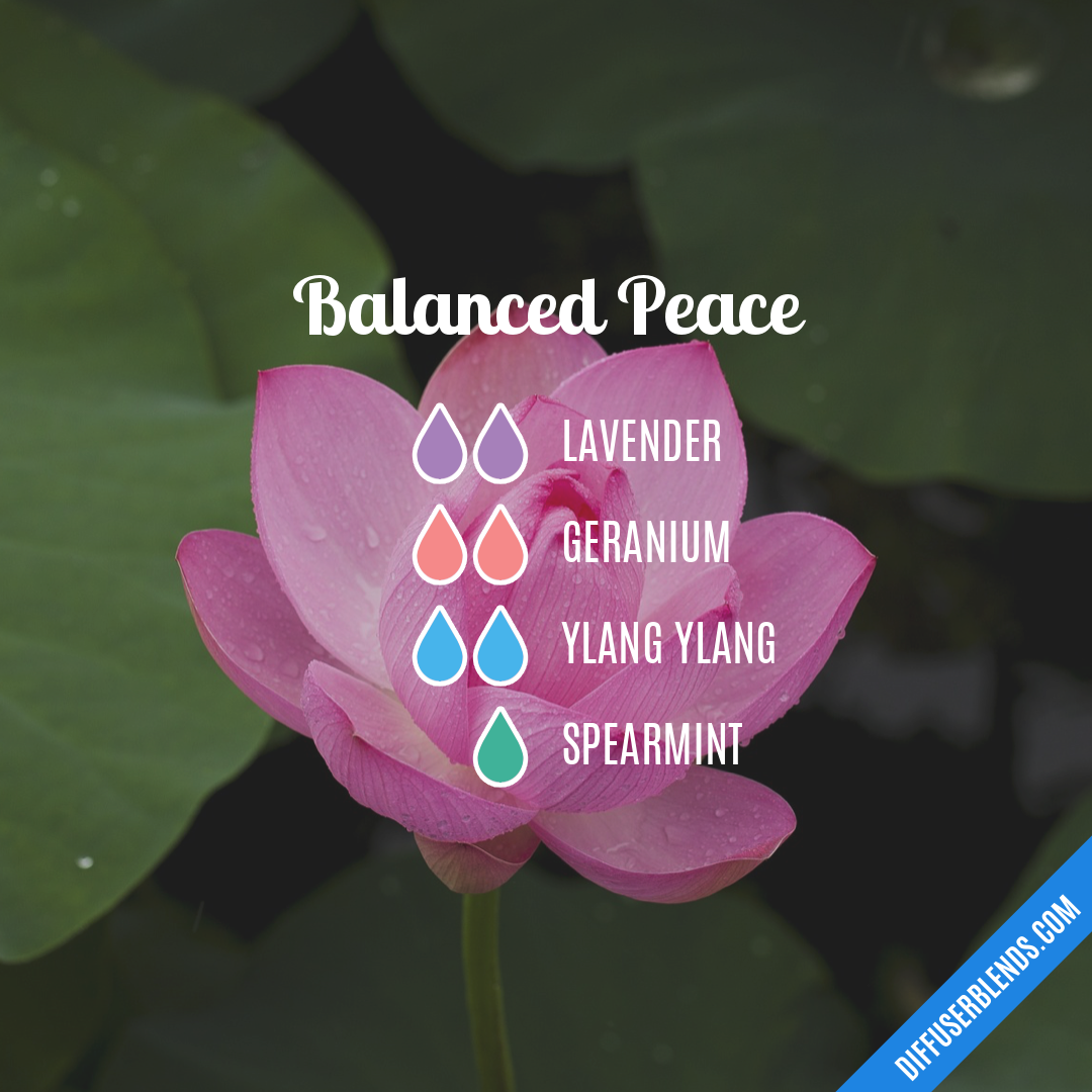 Balanced Peace | DiffuserBlends.com