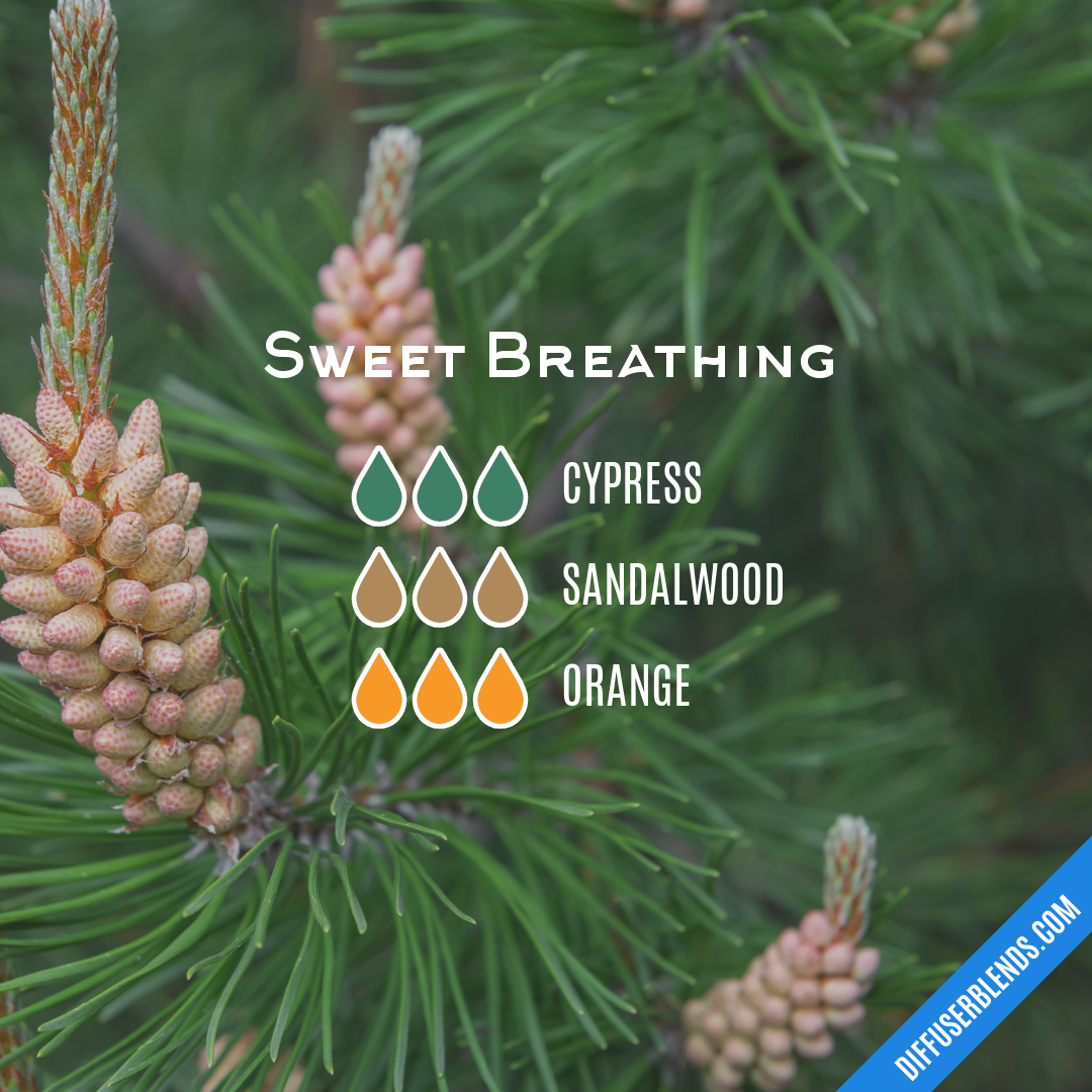 Sweet Breathing | DiffuserBlends.com