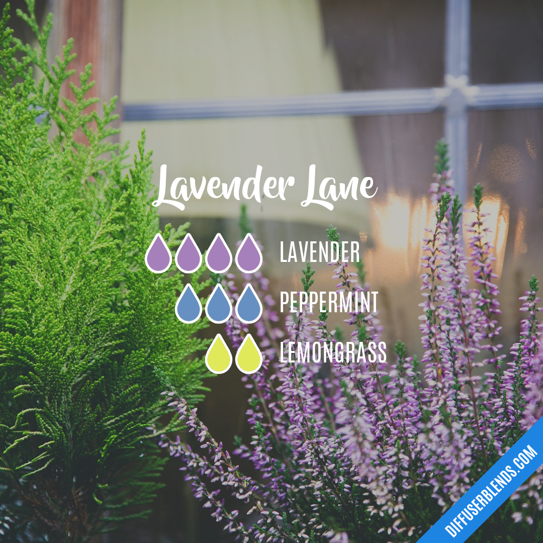 Lavender Lane | DiffuserBlends.com Lavender Lane | DiffuserBlends.com