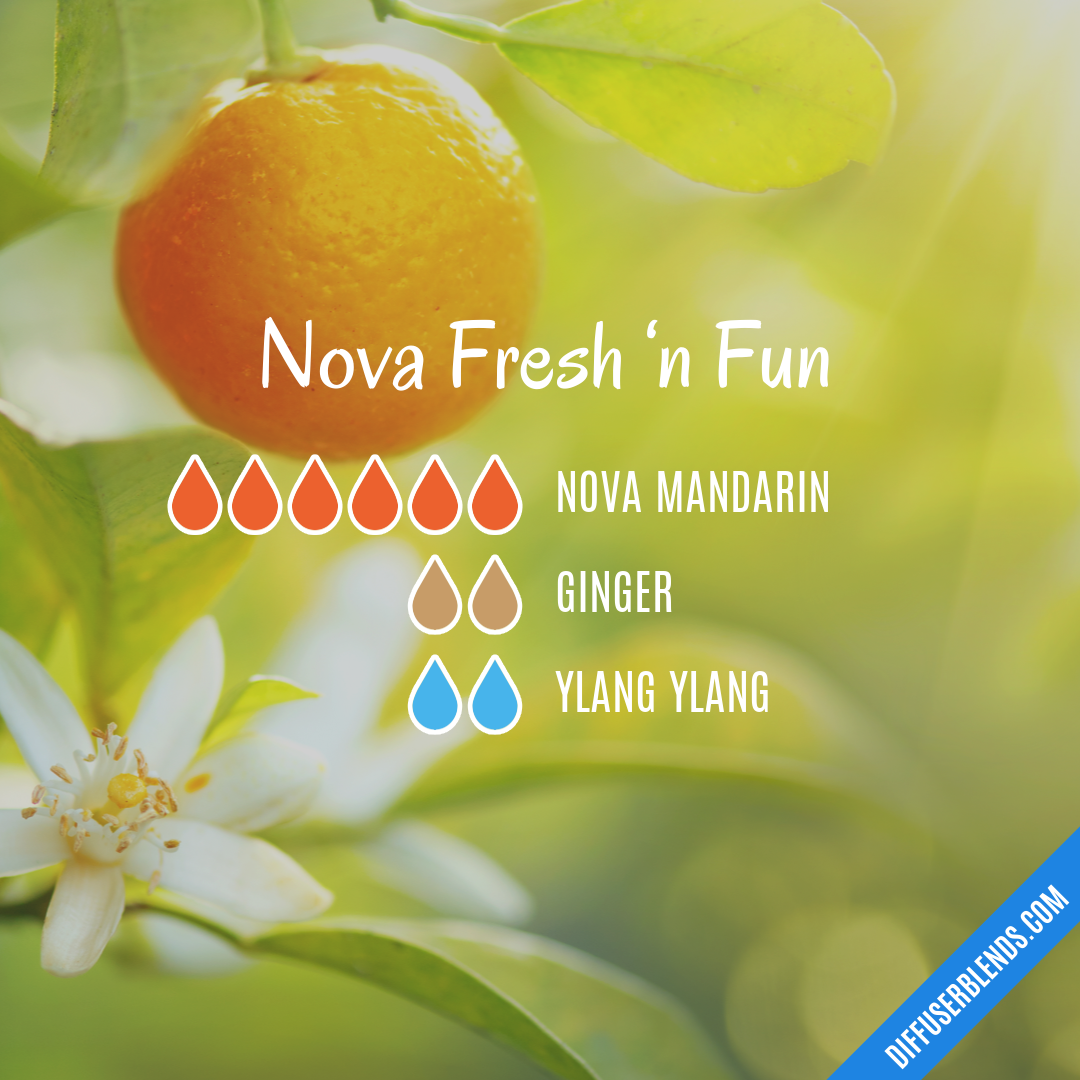 Nova Fresh ‘n Fun | DiffuserBlends.com