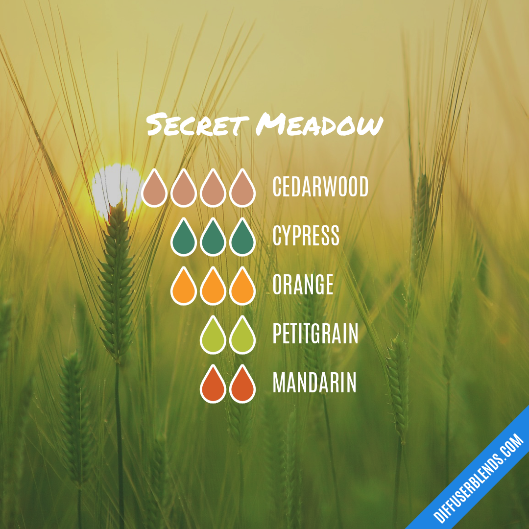 Secret Meadow | DiffuserBlends.com